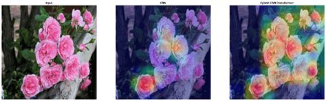 mohammed innat on linkedin computervision deeplearning transformers cnn keras