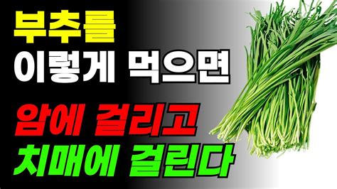 부추를 이렇게 먹으면 암과 치매에 걸립니다 L 부추 건강하게 먹는 방법 총정리 Youtube