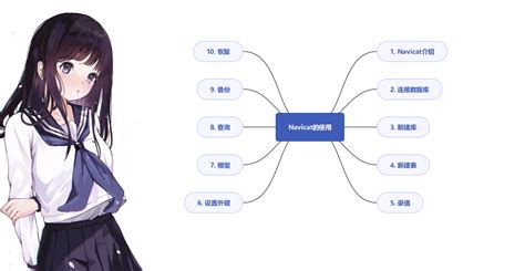 navicat的使用 csdn博客