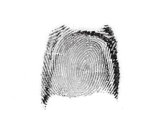Is There An Efficient Way To Image Trace A Fingerprint For Engraving