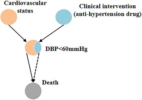 The Hypothesized Causal Relations Download Scientific Diagram
