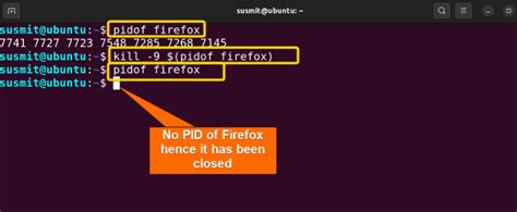 The Kill Command In Linux Practical Examples