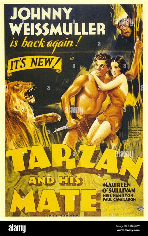 Tarzan And His Mate Us Johnny Weissmuller Maureen O Sullivan Date Stock Photo Alamy