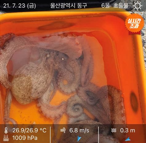 피싱노트 안녕하세요 신개념 낚시앱 피싱노트🐟 입니다 무더위와 코로나로 힘든 나날들을 보내고 계실