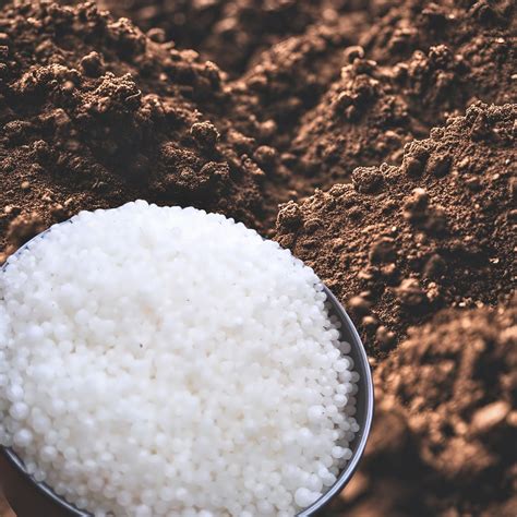 Urea Fertilizer Seed Fertilize