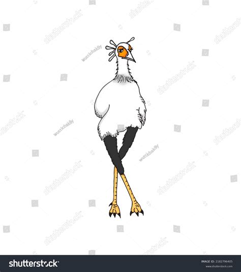 Sexy Bird Cartoon Draw Freehand On Stock Illustration 2182796405 Shutterstock