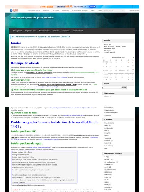 Dicom Instale Dcm4chee Oviyam21 H2z Blogging En El Entorno