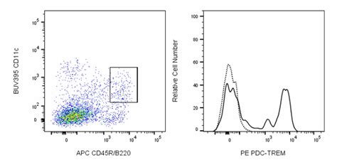 Pe Rat Anti Mouse Pdc Trem