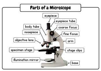 Science Lab Label The Parts Of Microscope Posters Worksheets