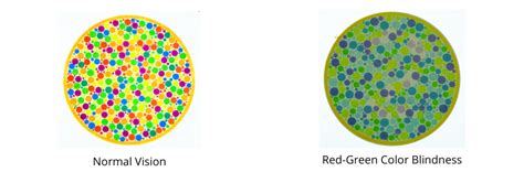 Accessibility 101 Chapter 3 Color Blindness Advancedbytez