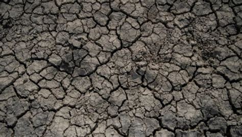 Papar District Declared Drought Disaster Area