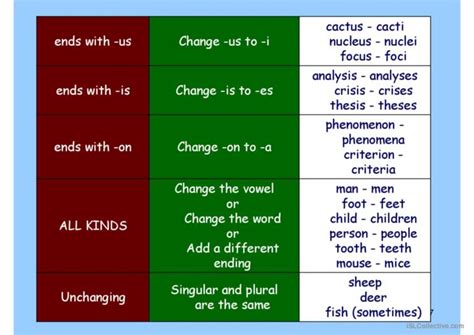 Plural Forms Grammar Guide English ESL Powerpoints