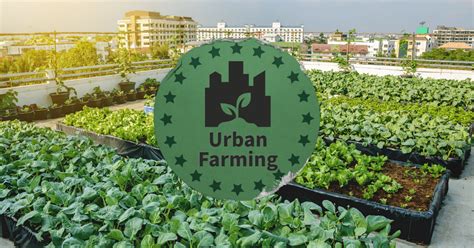 The Role Of Urban Agriculture In Modern Architectural Design
