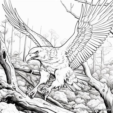 Eagle Adult Coloring Page