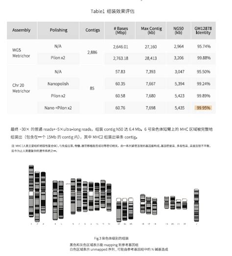 百个nanopore基因组计划 Grandomics希望组