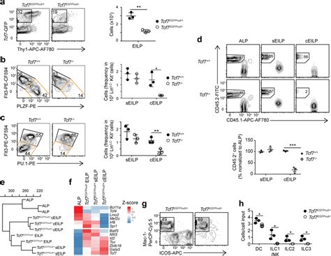 The Transcription Factor Tcf 1 Enforces Commitment To The Innate Lymphoid Cell Lineage