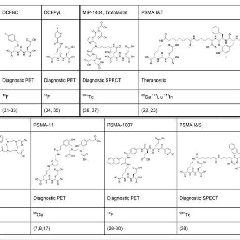 Internal Cavity Of PSMA Cross Section Of PSMA Showing Internal Download Scientific Diagram