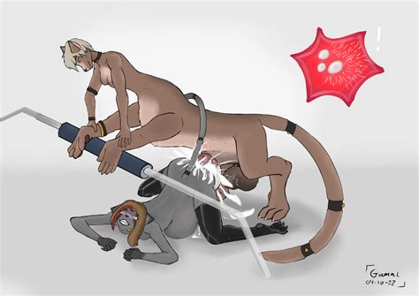 Feline Compatibility Breeding By Gamal Hentai Foundry