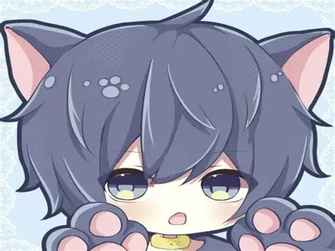 Tìm Hiểu Về Chim Cu Gáy Và Những Thói Quen Sinh Sống