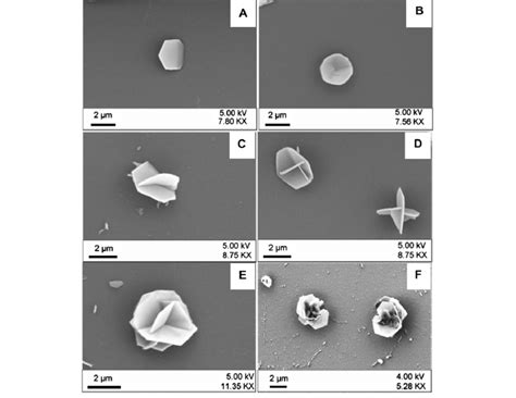 Temporal Evolution Of Hierarchical Flower Like Zno Superstructures