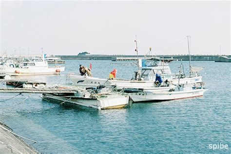 床波漁港 spibe