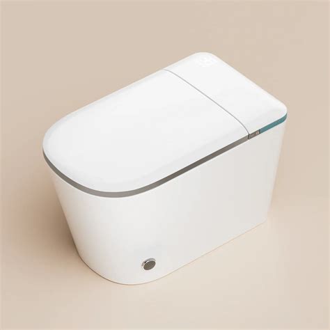 Bidet Smart Toilet Vs Smart Toilet Which One Should I Get Leton