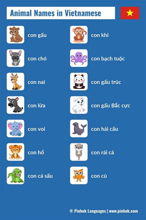 Learn Animal Names In Vietnamese