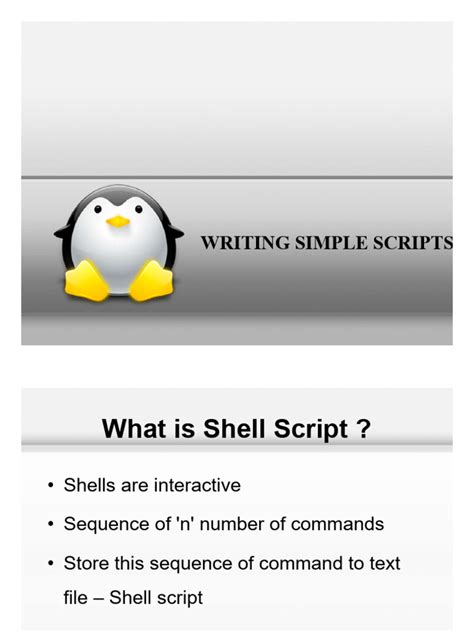 Writing Simple Scripts Pdf Computer Science Software Development