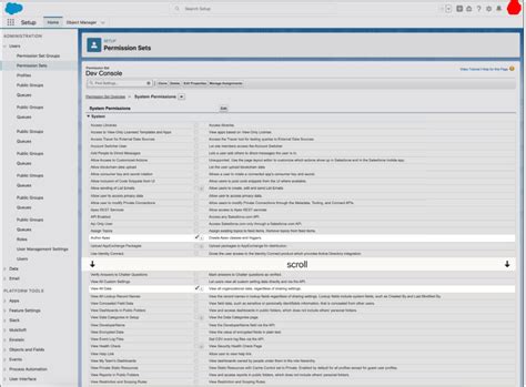 enabling developer console using permission sets for non admin users