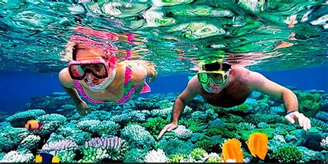 A Guide To Coral Reefs Snorkeling Tours Worth Taking This Summer