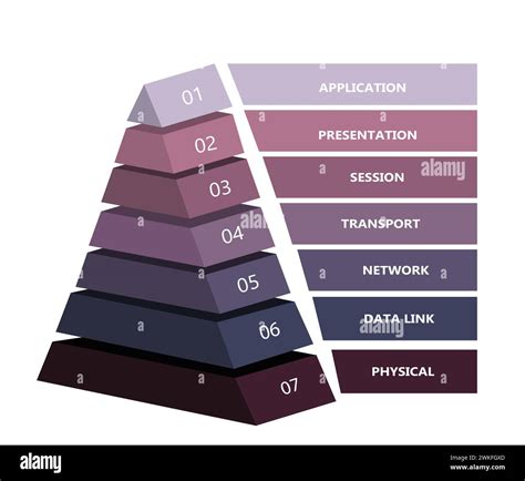 7 Layer Osi Network Model Presented In Pyramid Vector Stock Vector