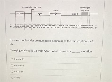 Solved Transcription Start Site Polya Signal Intron Sequence Promoter