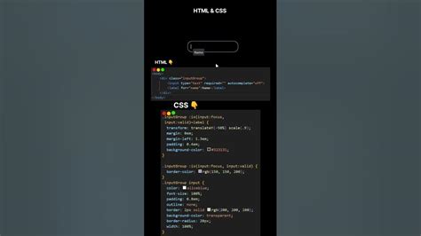 Html Css Input Label Animation Youtube