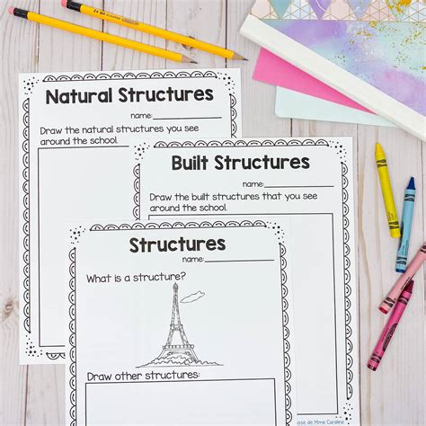 Grade 1 Materials Objects And Everyday Structures Science Unit In