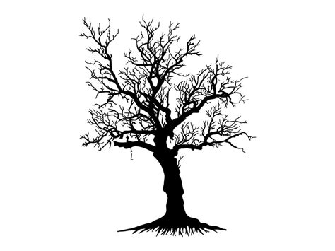 Tree With Root Or Naked Trees Silhouettes 52263663 Vector Art At Vecteezy