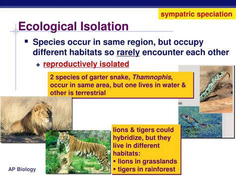 Ppt Speciation Powerpoint Presentation Free Download Id 2647678