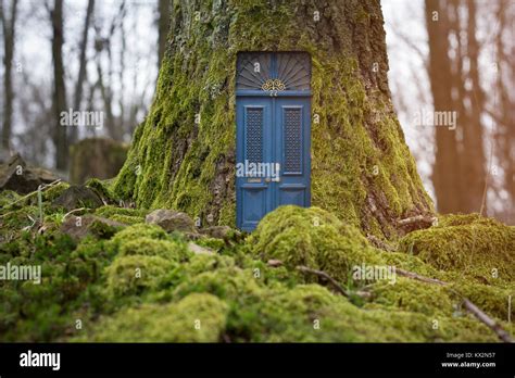 Fairytale House Inside Tree Stock Photo Alamy