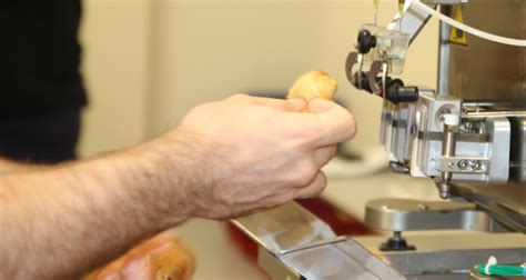 Chickens Vaccinated Against Avian Flu In Dutch Field Trial Poultry News