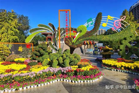 洛阳王城公园金秋菊展花香四溢，美景在不经意中展现，赏菊正当时 知乎