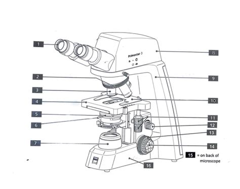Microscope Unit 1 Quiz