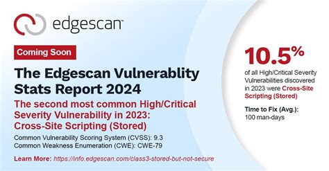 Edgescan On Linkedin Cybersecurity Webapplicationsecurity Xss Vulnerabilitymanagement…