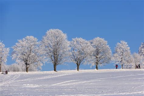 충청지방 Sfc 풀은 마르고 꽃은 시드나 우리 하나님의 말씀은 영원히 서리라 하라”사 408 사랑하는 충청지방 Sfc 운동원 여러분 더운 여름 우동수 광고를