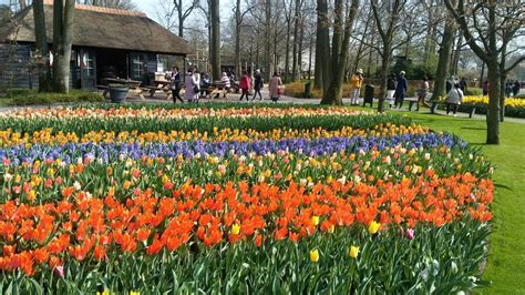 Цветен Празник Цветен Празник Added A New Photo