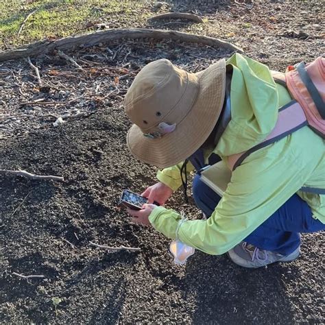 伊達市近郊 情報発信 むしゃなびライターrietty Rietty Hokkaido • Instagram Photos And Videos