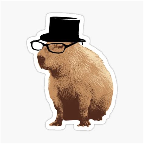 Classy Capybara Sticker By Deadright Redbubble