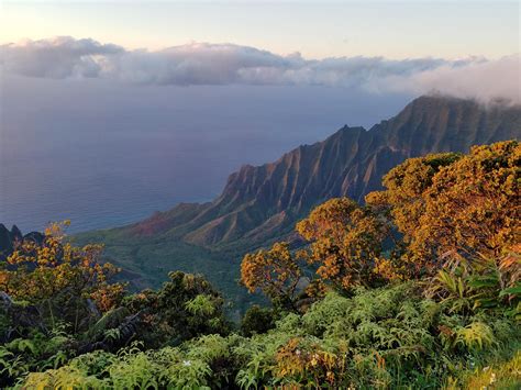 Jurassic Park Helicopter Scene Location At Mary Spaulding Blog