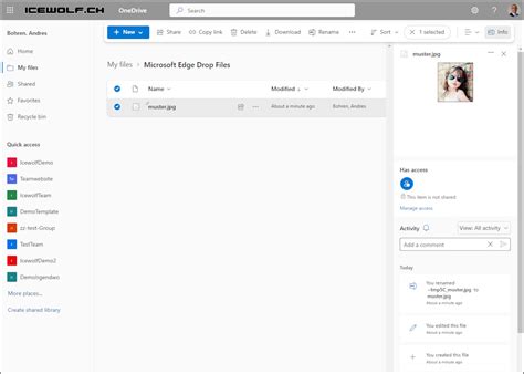 Microsoft Edge Drop Icewolf Blog