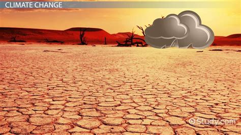 Current Environmental Issues Types Factors And Effects Lesson