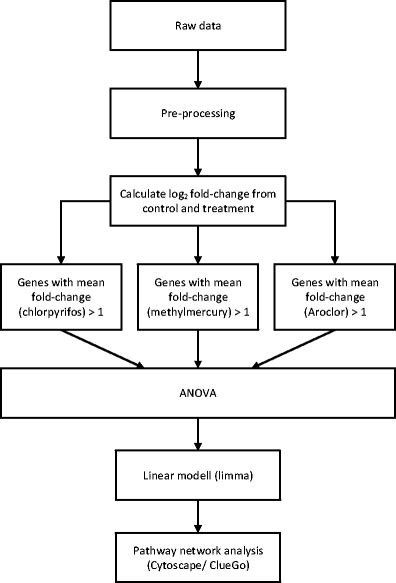 Overview Of The Statistical Analysis Download Scientific Diagram