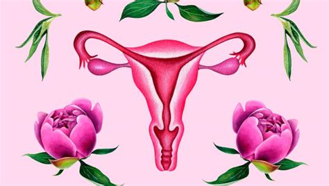 5 Cervical Cancer Myths You Need To Stop Believing Now Healthshots